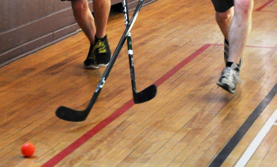 floor-hockey – New View Society